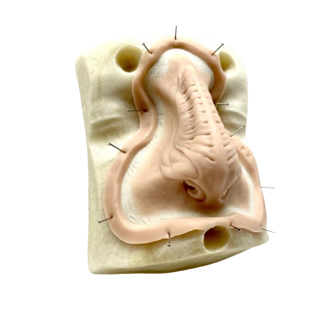 Fake FX Alien Nose Prosthetic – The Makeup Armoury