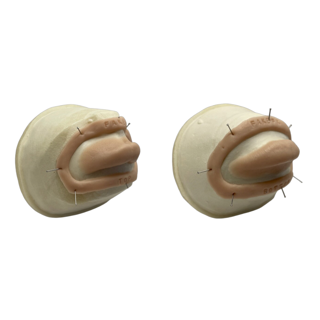 Fake Fx Botox Lips Set – The Makeup Armoury