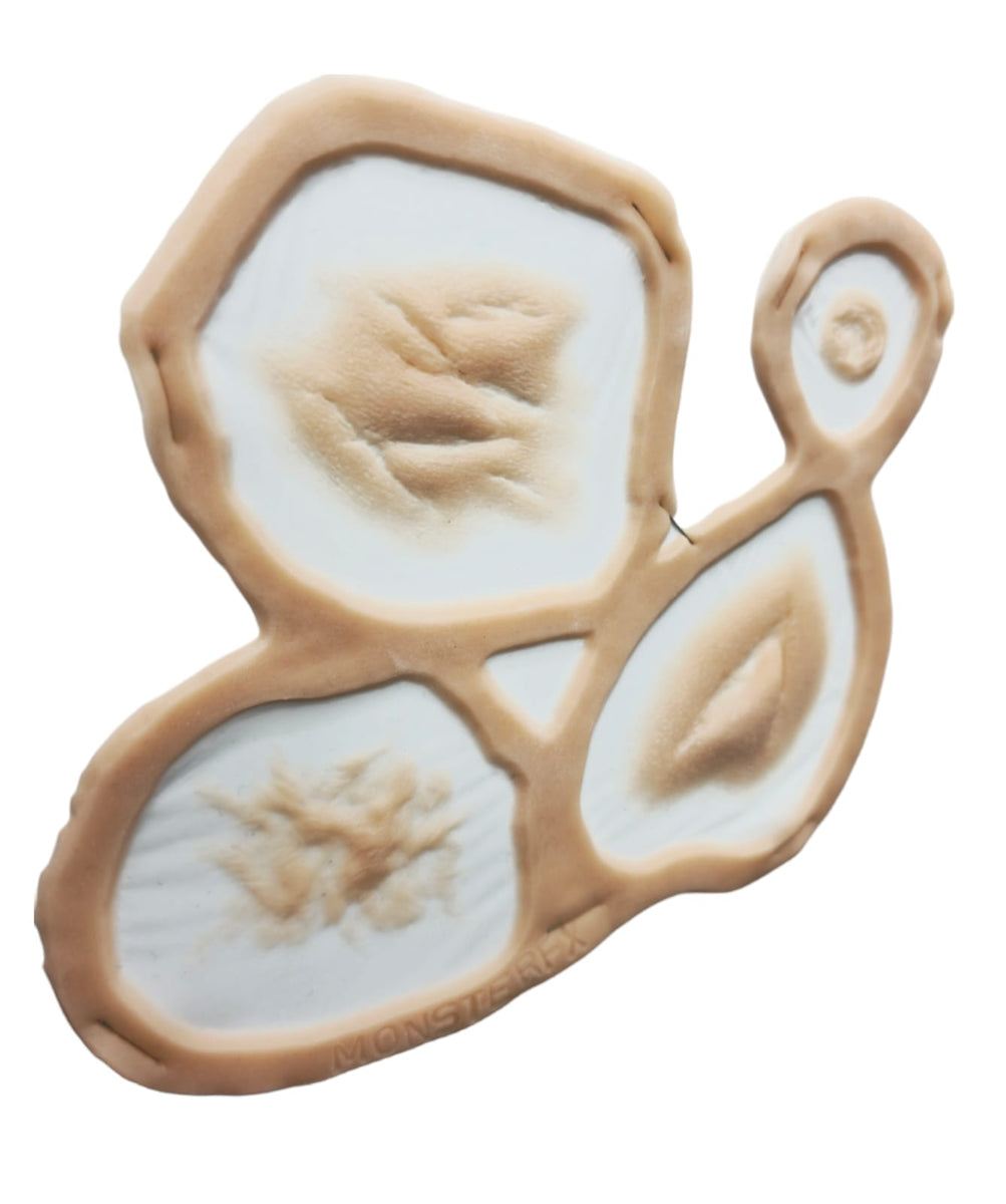 Monster FX Prosthetic Starter Kit – The Makeup Armoury