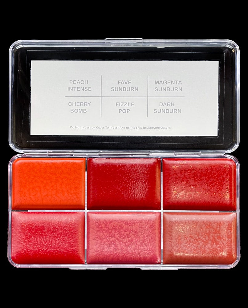 Skin Illustrator Sunburn Palette – The Makeup Armoury
