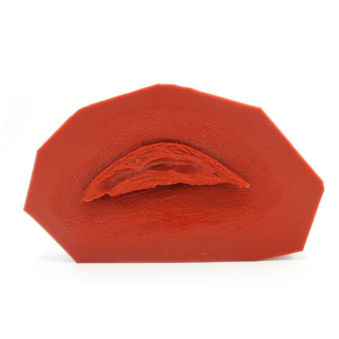 Saviour Medical - Flat Mould - 3" Curved Laceration with Large Flap ...