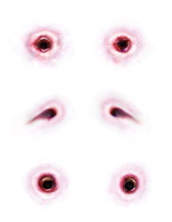 Tattooed Now! Bullet Hit Set – The Makeup Armoury