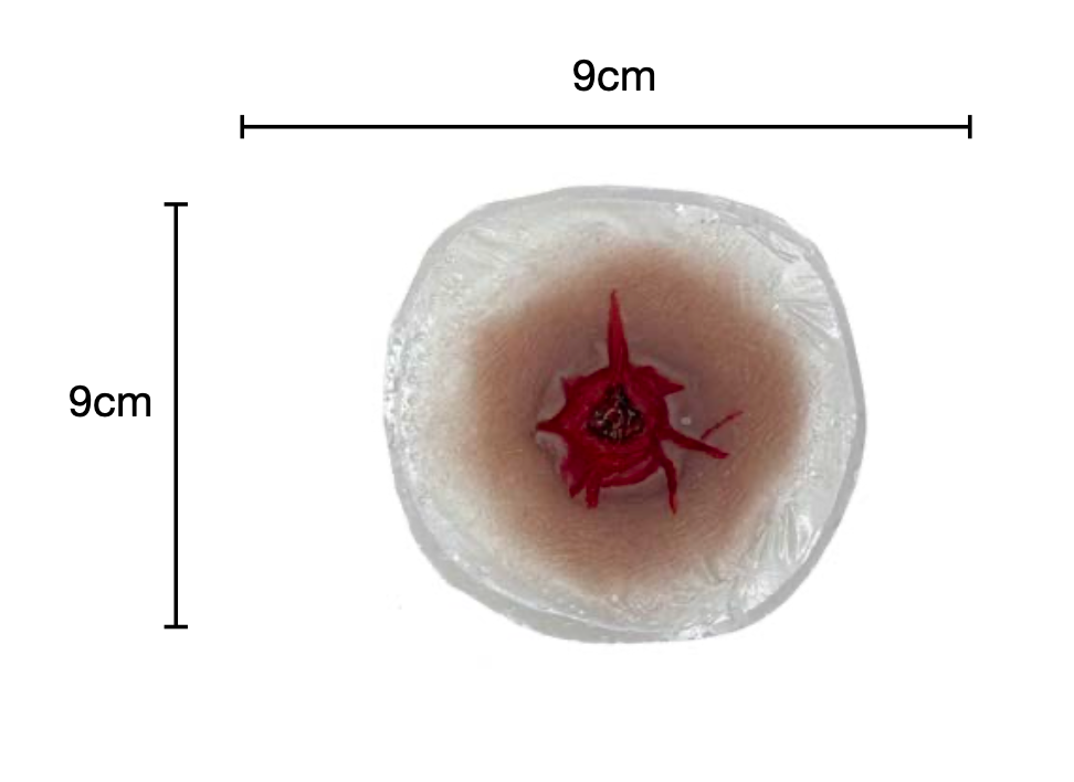 Saviour Medical - Flat Mould - Raised Exit Gunshot Wound – The Makeup ...