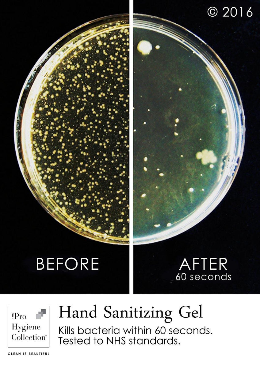 The Pro Hygiene Collection - Hand Sanitizing Gel 240ml (Alcohol Hand R ...