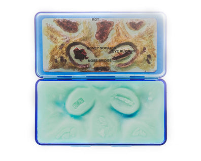 Brian Kinney's Hurt Box – The Makeup Armoury